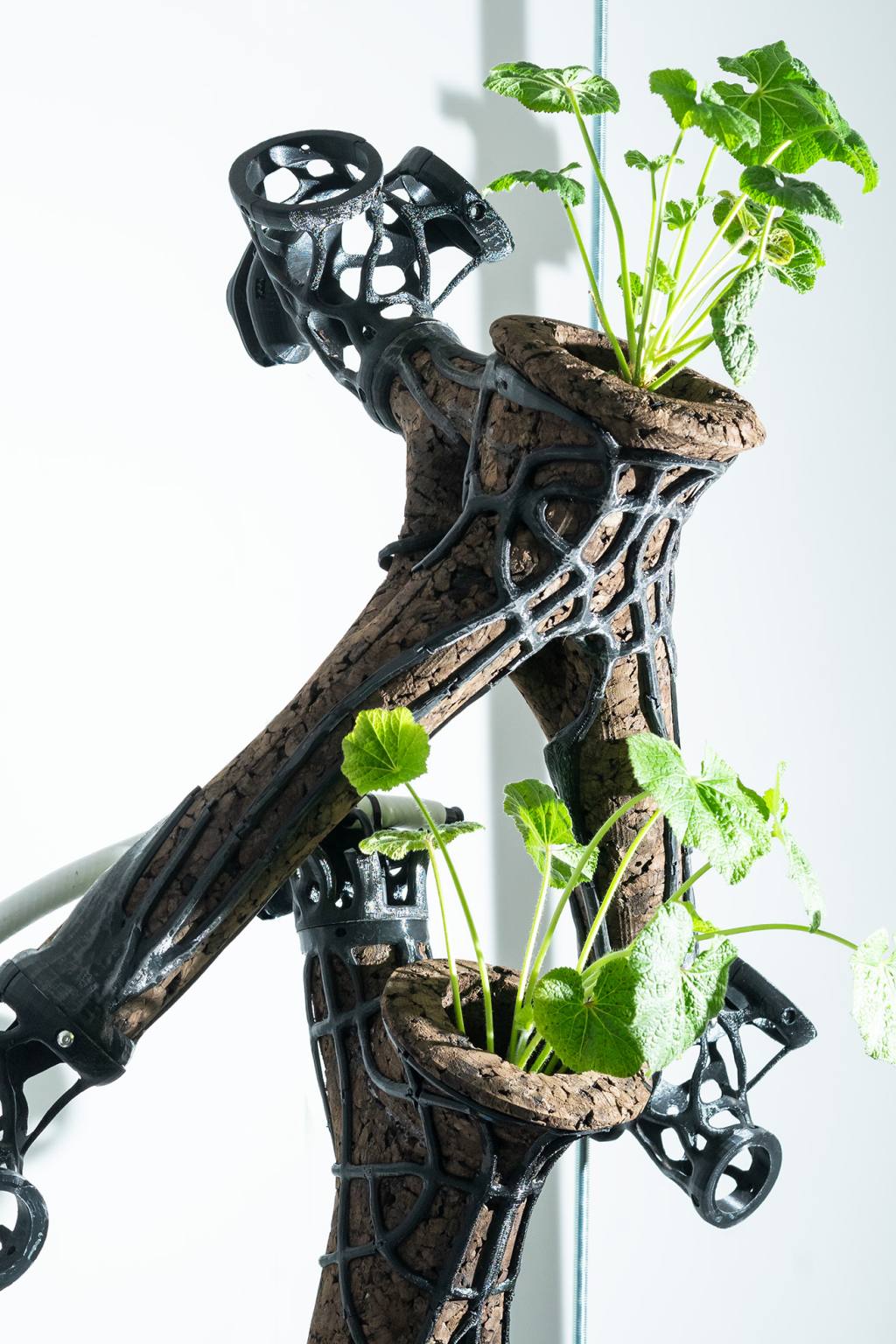 Living Wall System - The Living Lattice - Share Your Green Design